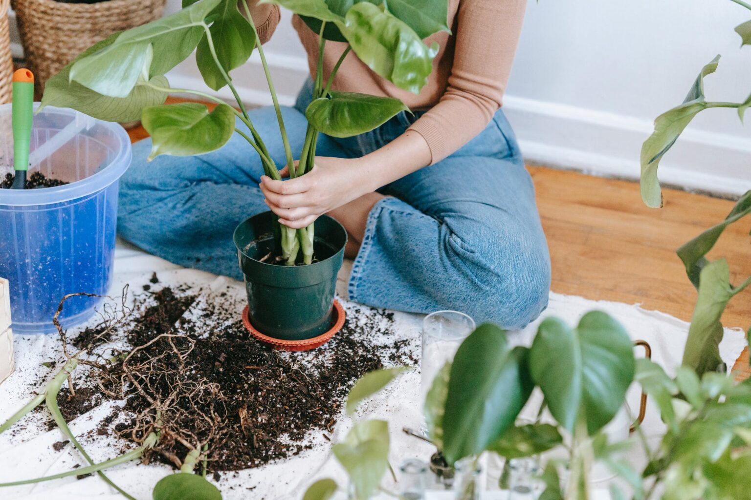 Top 40 Most Popular Common Hobbies in the World - Skill Courses